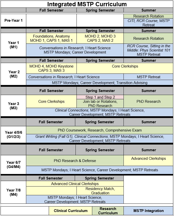 MSTP Detailed Curriculum | Medical Scientist Training Program - Carver College of Medicine | The ...
